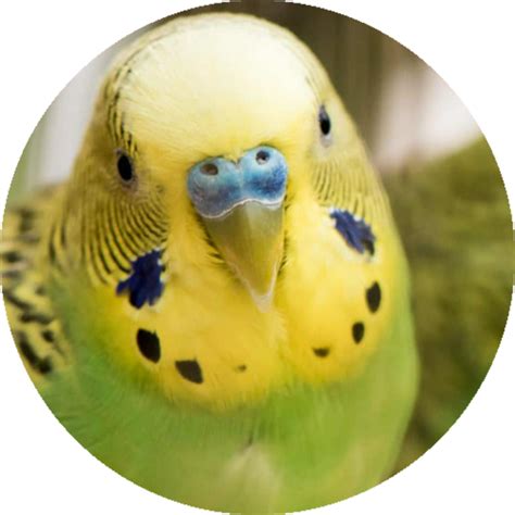 Data Ponds Data Pond Software Portfolio Devpost