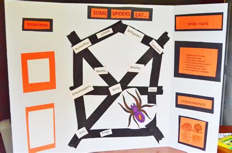 Spider Web Craft For Preschool And Young Hands