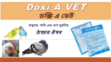 Doxi A Vet কবুতর ও পাখির ঠান্ডা ঔষধ Youtube
