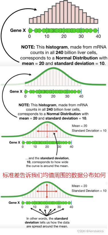 如何用样本估计总体？（均值、方差、标准差）总体样本估算 Csdn博客