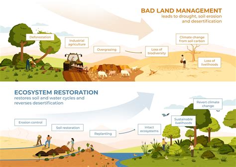 Un Decade Of Ecosystem Restoration 2021 30 Plan To Ensure Sustainability And Save The Planet