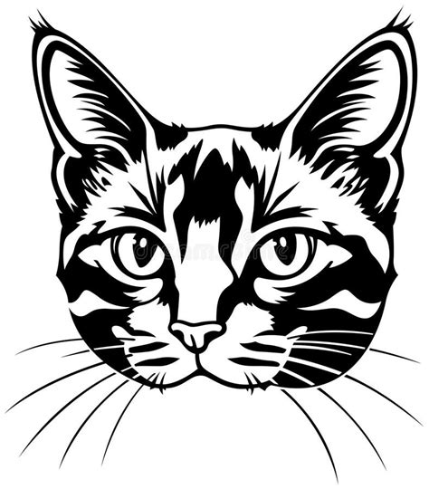 Black Drawing Of Cats Head Stock Vector Illustration Of Outline 344066850