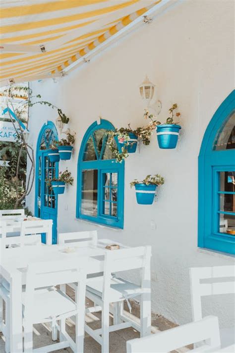 거리 카페 관광 깨끗한 디자인 낮 뎀레 레저 레트로 매달린 식물 매력적인 문화적 미니멀 밝은 빈티지 선명한 스타일리시한 신선한 아늑한 분위기