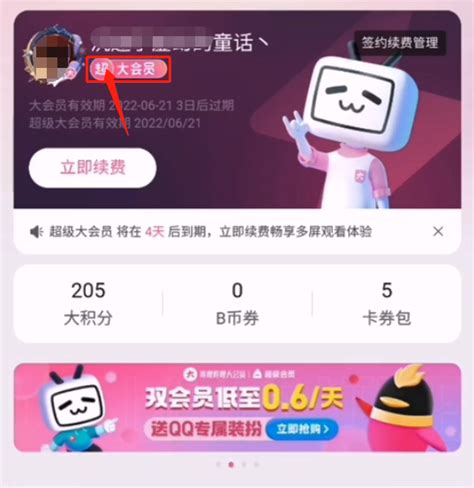 哔哩哔哩超级大会员有什么用 哔哩哔哩超级大会员作用介绍 下载之家