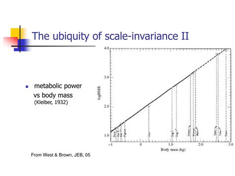PPT Scale Invariance In Cognition PowerPoint Presentation Free Download ID 737462