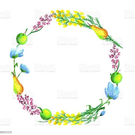 꽃이 만발한 야생화와 과일이 있는 라운드 프레임 수채화 손으로 그린 그림 그림 흰색 배경에 고립입니다 인사말 카드에 대 한 그림입니다 개체 그룹에 대한 스톡 벡터 아트 및