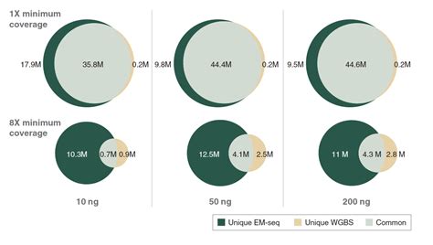 Nebnext® Enzymatic Methyl Seq Kit Neb