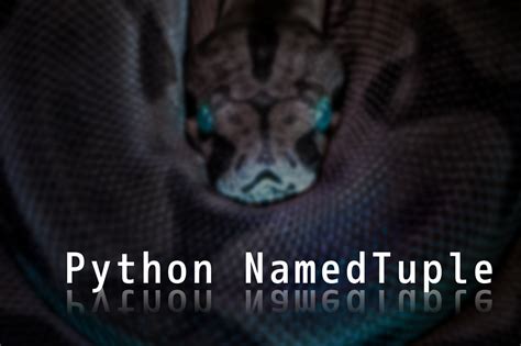 Pythonで構造体のようなものが作れるか試してみた Namedtuple使用 Breeze