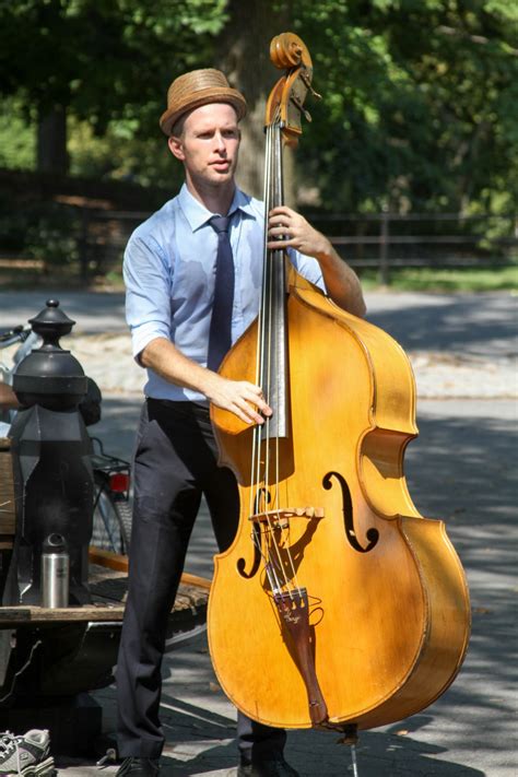 무료 이미지 활을 휘감은 현악기 바이올린 가족 첼로 콘트라베이스 음악가 베이스 기타 깡깡이 베이시스트 비올라 기타리스트 3456x5184