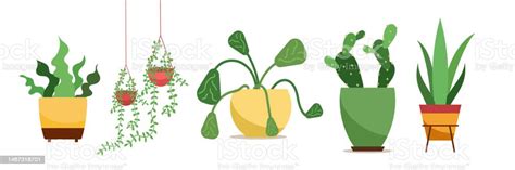 화분 벡터 일러스트 세트에 심습니다 만화 플랫 다른 실내 화분에 심은 장식 관엽 식물 인테리어 홈 또는 사무실 장식 녹색 정원