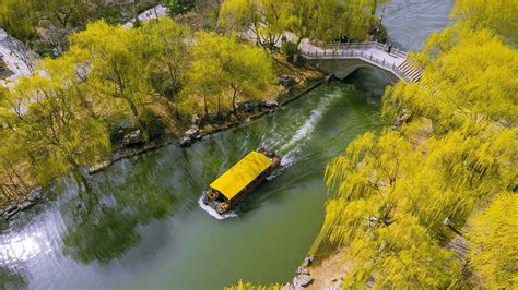 济南： 春日伊始 大明湖充满绿色生机