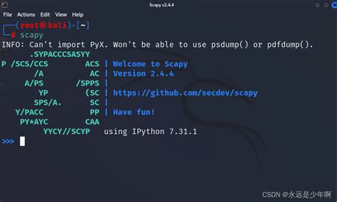 scapy定制数据包详解 linux自定义数据包 csdn博客