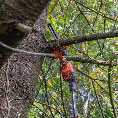 6 Cordless Mini Chainsaw 20v Brushless Motor 145 Ms Chain Speed Forest Master