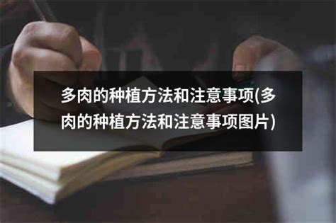 多肉的种植方法和注意事项 多肉的种植方法和注意事项图片 养花经验