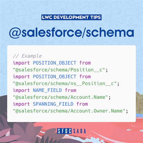 Introducing The Salesforce Schema