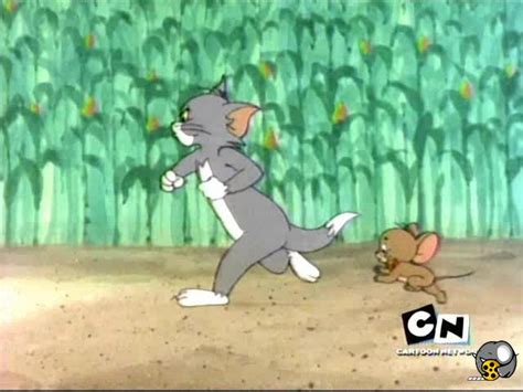 برنامه کودک تام و جری قسمت 199 فیلو