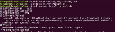 无法获得锁管理目录 var lib dpkg 是否有其他进程正占用它 The Blue Sky 博客园