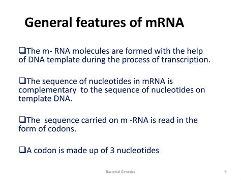 Types And Structure Of Prokaryotic Rna Ppt Free Download