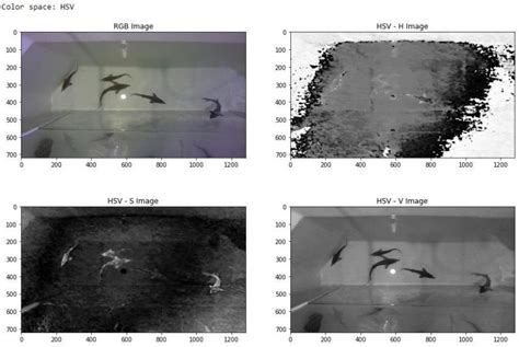 Figure No 1 Example Of Image Analysis Using Hsv Color Space