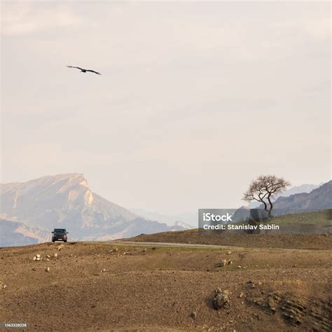 산사막을 통과하는 길 미니멀 한 사각형 모양 여행 개념 뱀 도로가있는 아침 산 계곡 산 뱀에 자동차 0명에 대한 스톡 사진 및 기타 이미지 Istock