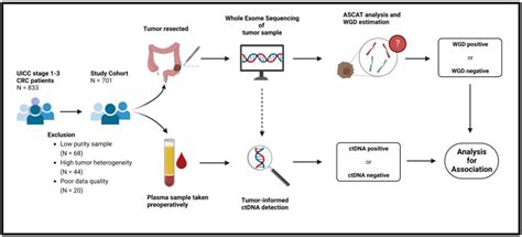 Monitoring And Adapting Cancer Treatment Using Circulating 55 Off