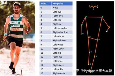 使用PyTorch神经网络和YoloV 识别身体姿势 知乎
