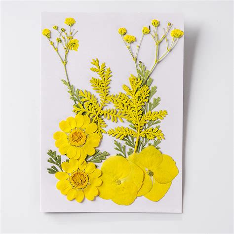 干花diy材料包押花贴脸花瓣妆书签压花画真花滴胶植物标本相框 虎窝淘
