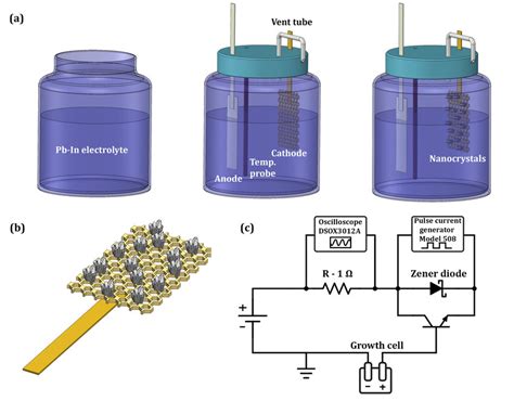 Hierarchical 3d Nanostructured Pb−in Sample Growth A Schematic