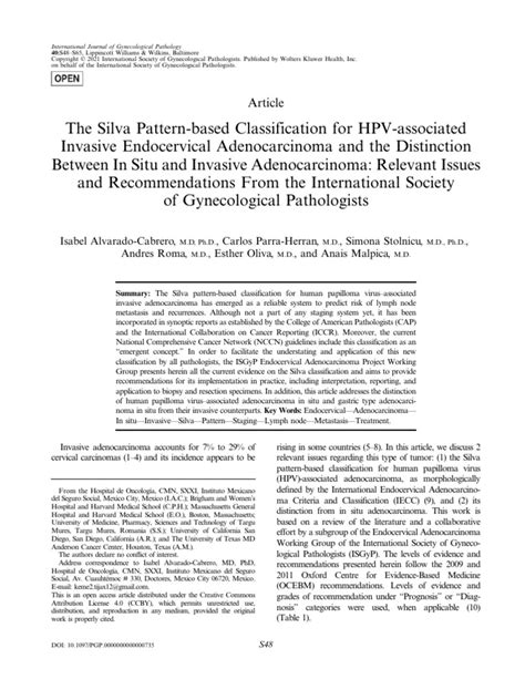 The Silva Pattern Based Clasification For Hpv Associated Invasive
