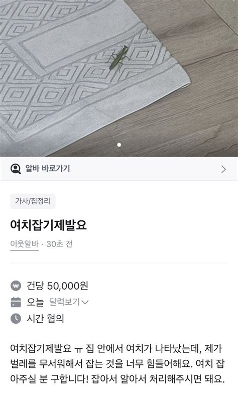 실시간 여치잡아주면 5만원준다는 당근마켓 포텐 터짐 최신순 에펨코리아