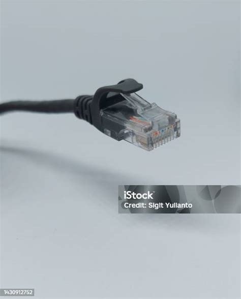 흰색 배경에서 네트워크 연결을 위한 Utp 케이블 범주 6 0명에 대한 스톡 사진 및 기타 이미지 0명 Dsl Usb 케이블 Istock