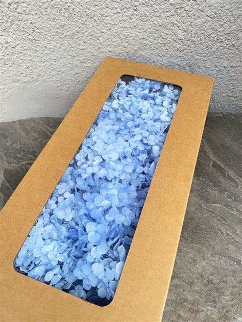 Стабілізована гортензія 5 г колір Небесний блакитний купити ціна у Києві Львові Одесі