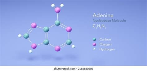 Metformin Molecule Molecular Structures Biguanides 3d Stock Illustration 2264105189 Shutterstock