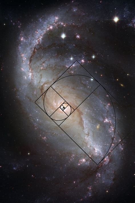 The Golden Ratio And The Fibonacci Sequence — Sylvia Villa