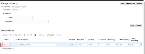 Unable To View The Balancing Segment Value In The Lov For Company