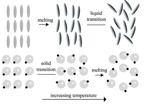 2 Positional And Orientational Ordering Occur Separately In Download Scientific Diagram