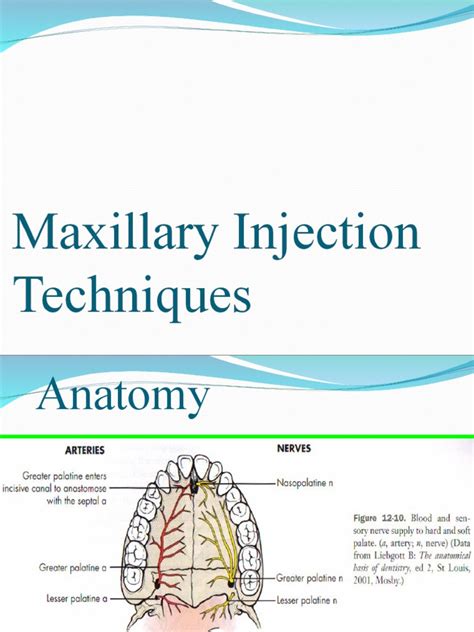 Maxillary Injection Techniques Pdf Anesthesia Injection Medicine