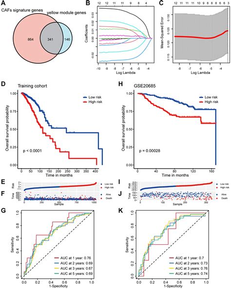 Cancer Associated Fibroblast Derived Gene Signature Discriminates Distinct Prognoses By