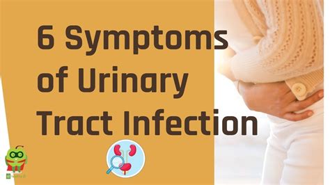 Urinary Infection Symptoms In Women