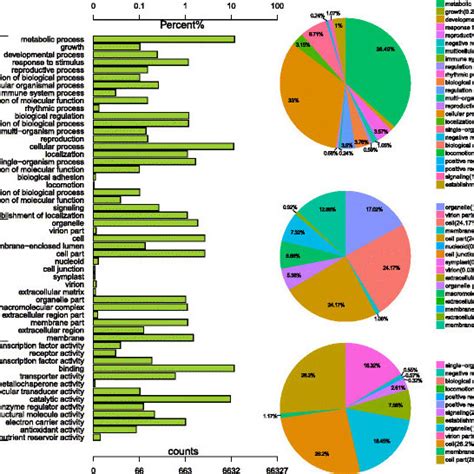 Histogram Presentation Of Gene Ontology Classifications The Results