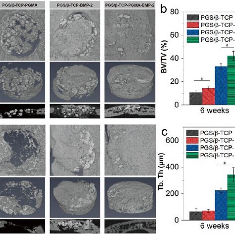 Bone Tissue Regeneration Within Rat Cranial Defect Model After 6 Week