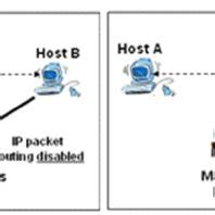The Main Field Of An ARP Packet Download Scientific Diagram