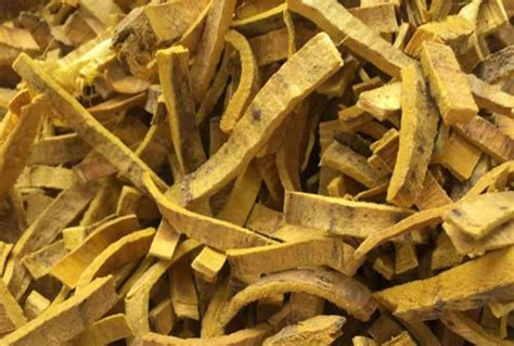 黄柏中药材 黄柏的功效与作用 黄柏使用方法和禁忌 36解析式工具箱 在线实用工具查询网