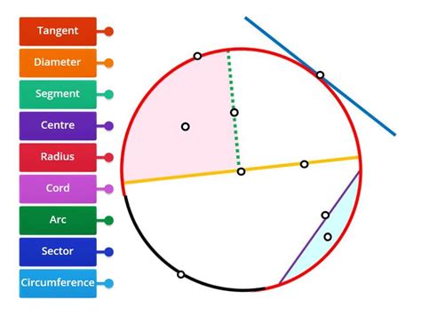 Labelling The Circle Labelled Diagram