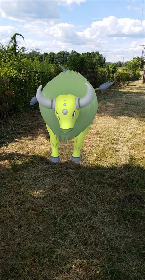 Shiny Tauros By Zombiemagnate On Deviantart