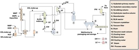 D L Methionine Production Via The Carbonate Process Chemical Engineering Page 1