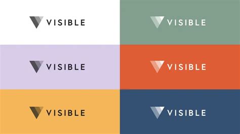 Visible World Logo