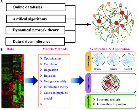 Biological Network Construction A Approaches To Construct Biological