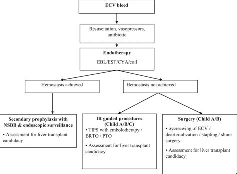 Suggested Algorithm For Management Of Ectopic Varices Brto