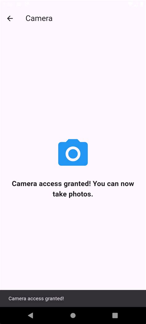 Master Permission Handling In Flutter Step By Step Guide SocialMistry